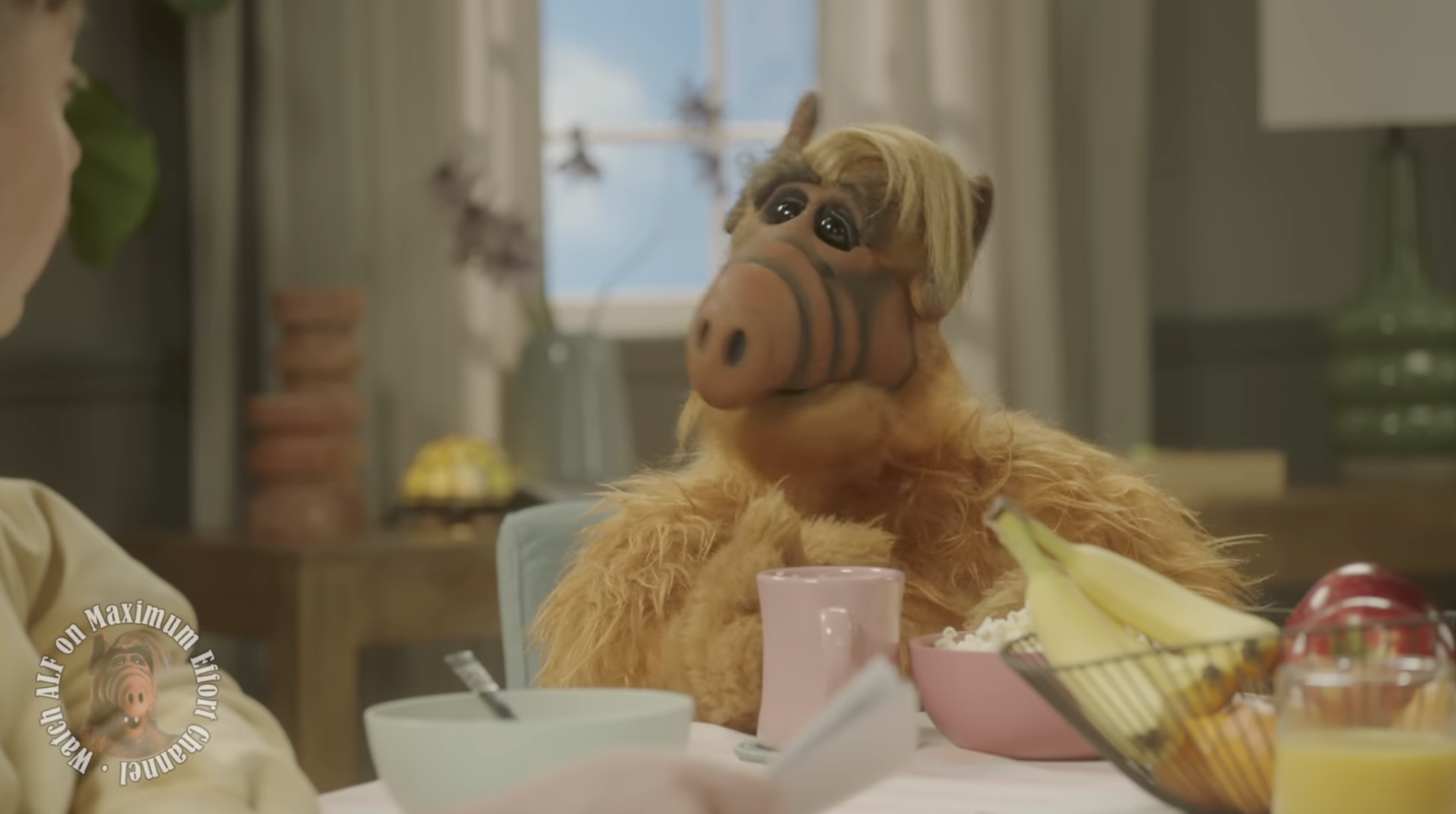 ALF Revives! – ALF Archives
