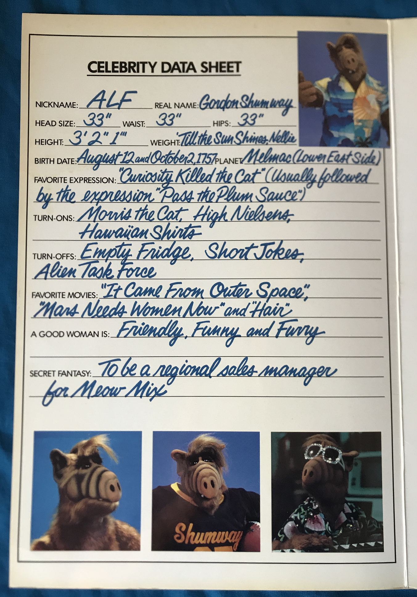 ALF Magazine – ALF Archives