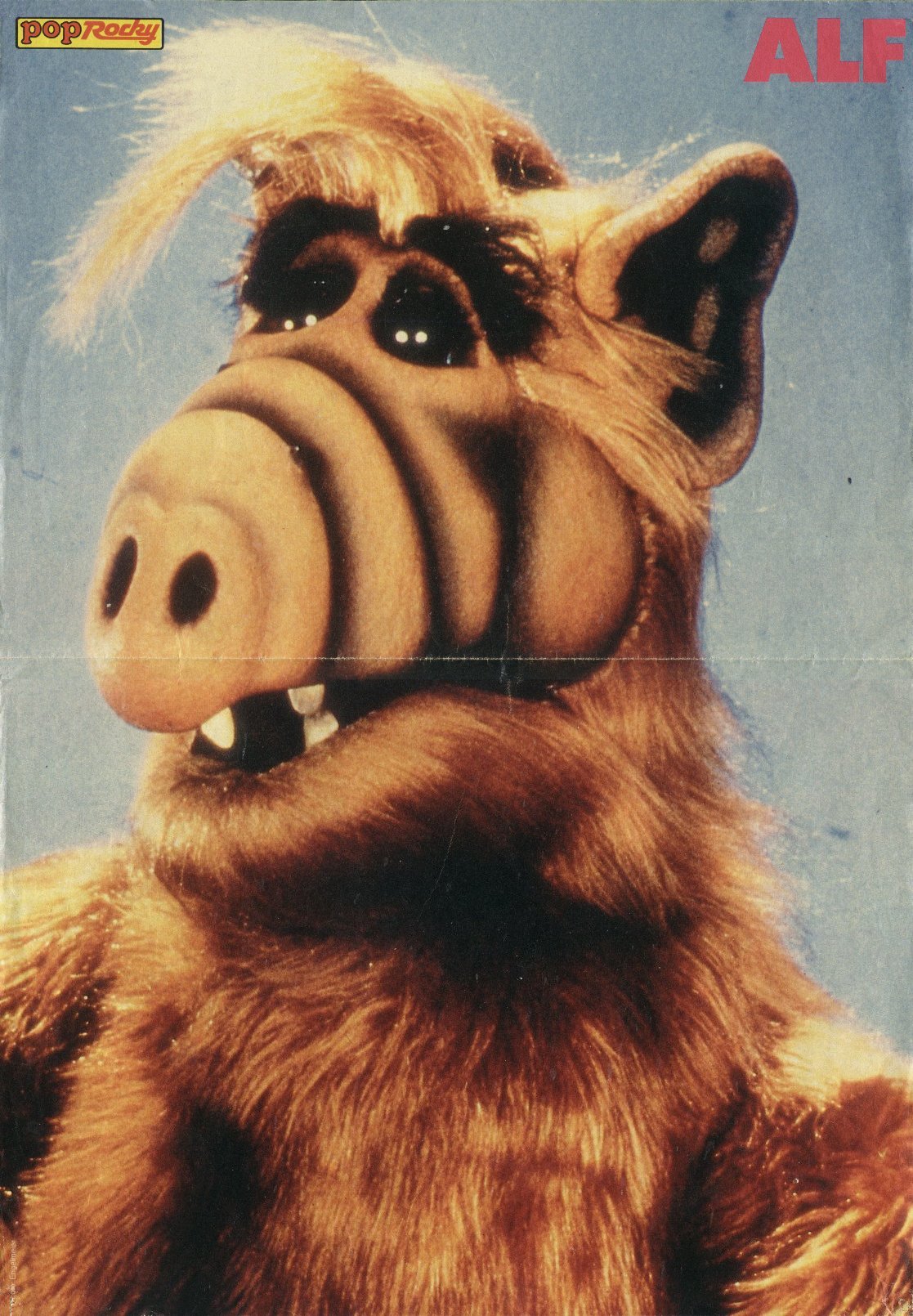 Posters – ALF Archives